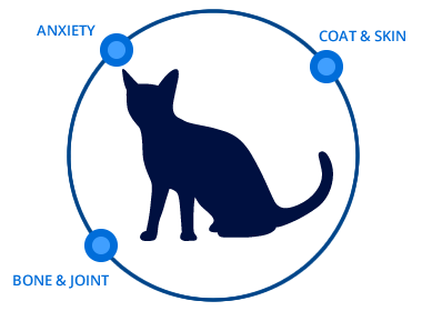 Cat Pet Diagram